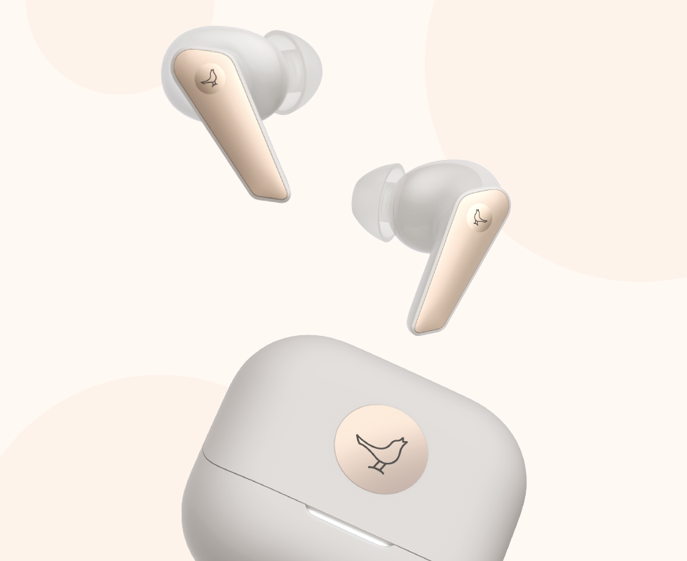 Libratone Guide